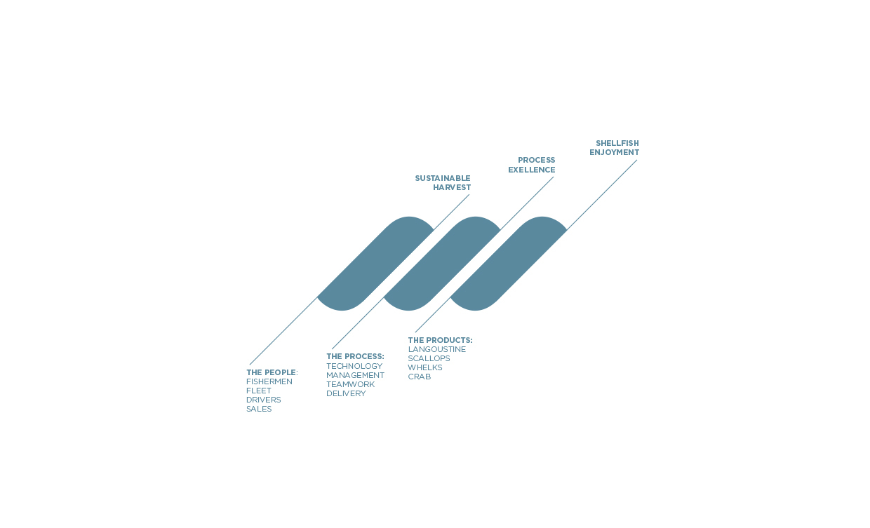 KIND Conceptual Branding (en) | Branding Europe's Largest Shellfish…